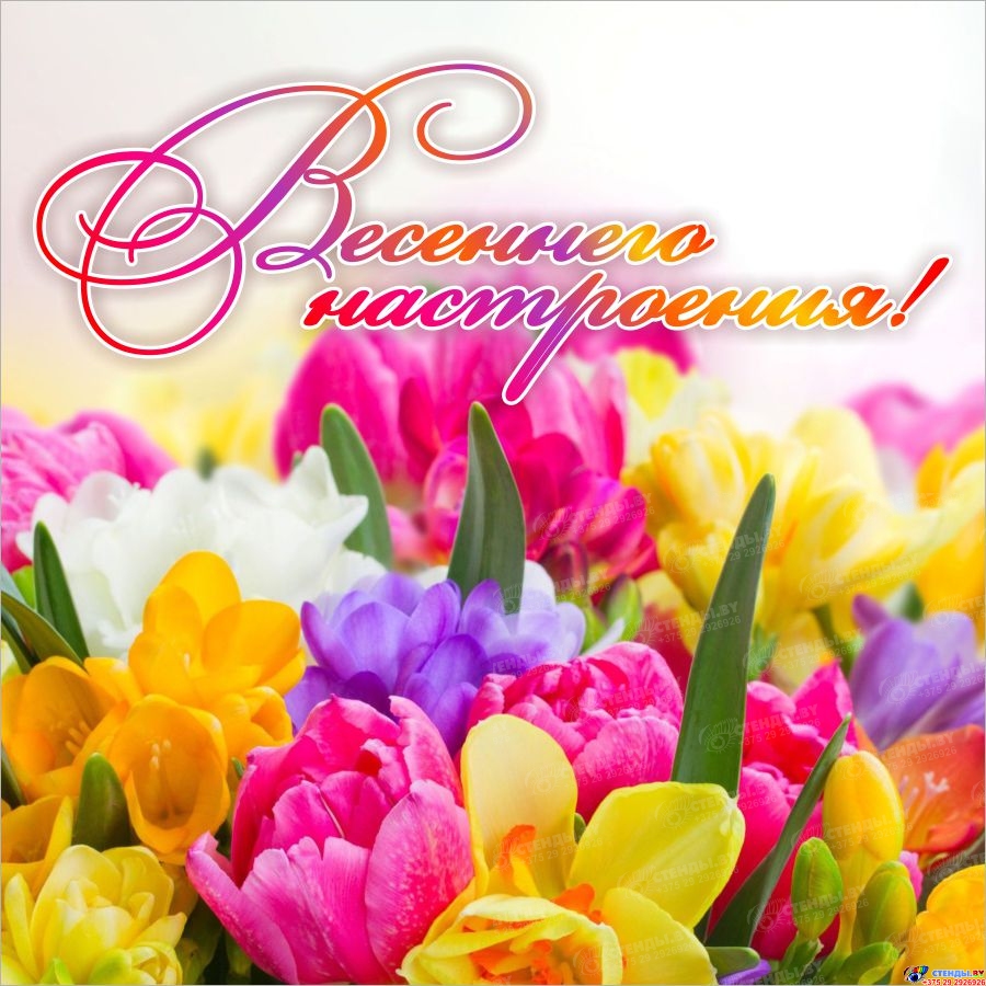 Купить Баннер Весеннего настроения 📄 с доставкой по Беларуси | интернет ...